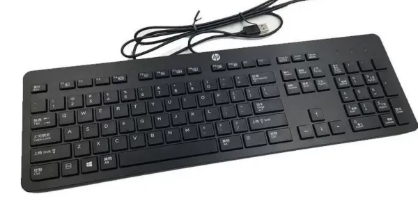 HP USB Keyboard sk-2120